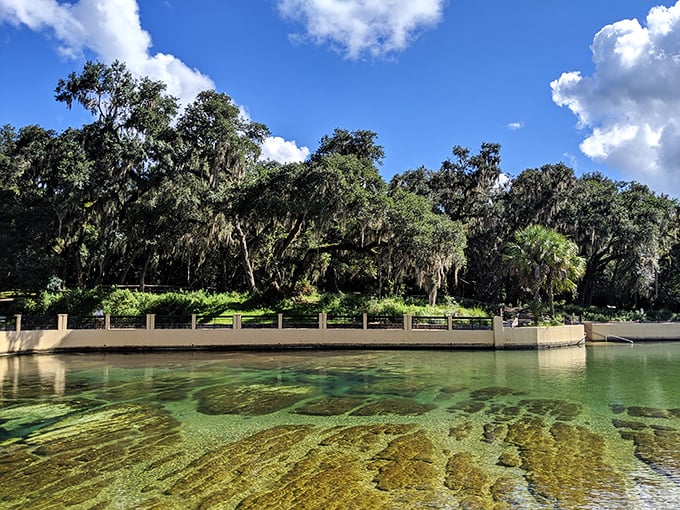 The spring's mineral-rich waters create a mesmerizing palette of blues and greens that no filter could improve.