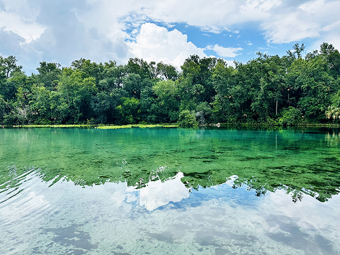 Mother Nature's swimming pool: crystal-clear waters reflecting Florida's blue skies, no chlorine or maintenance fees required.