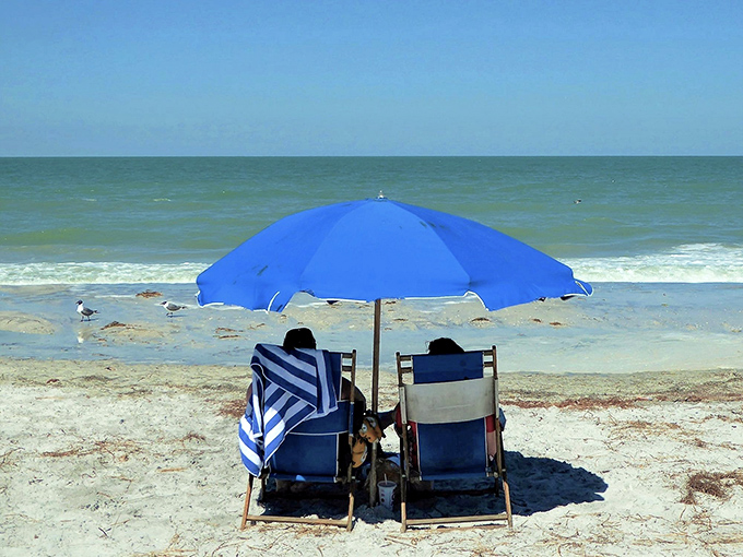 Sunbathing: The ultimate beach therapy session &ndash; two chairs, endless ocean views, and not a single email notification in sight.