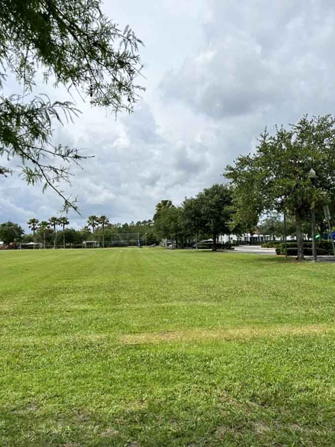 Wide open fields stretch like green carpets, perfect for everything from soccer games to cloud-watching marathons with the family.