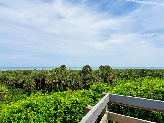 The panoramic views stretch from lagoon to ocean, proving that ancient peoples had excellent taste in scenic overlooks and waterfront property.