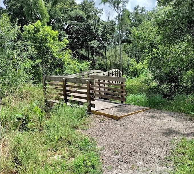 Boardwalks that let you walk on water without any divine intervention required, just good engineering.