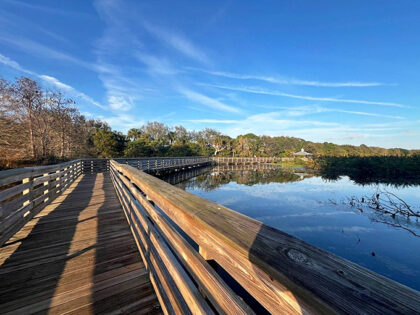 There's A Tranquil Florida Oasis Where Elevated Boardwalks Lead To ...