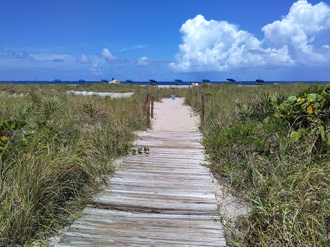 Wooden pathways invite barefoot explorers through sea oats and dunes &ndash; nature's red carpet to paradise.