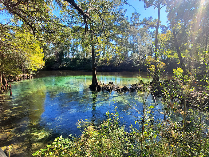 This isn't Photoshop&mdash;it's just Florida showing off with water so clear you can count fish from 25 feet away.