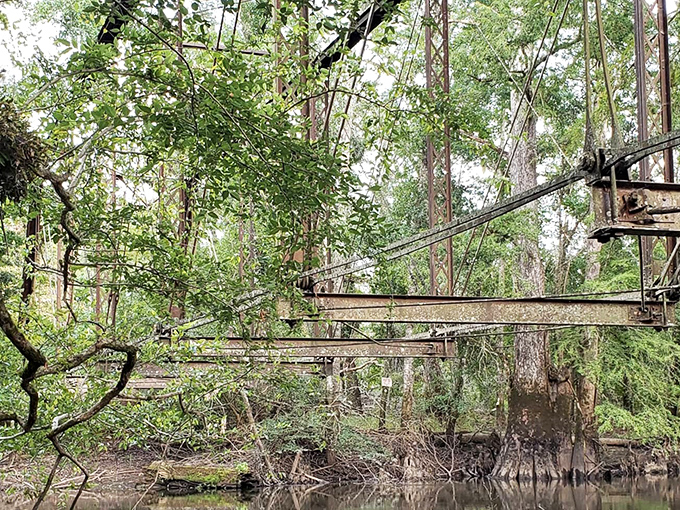 The bridge's weathered bones create a haunting silhouette against the lush Florida greenery, like industrial art.