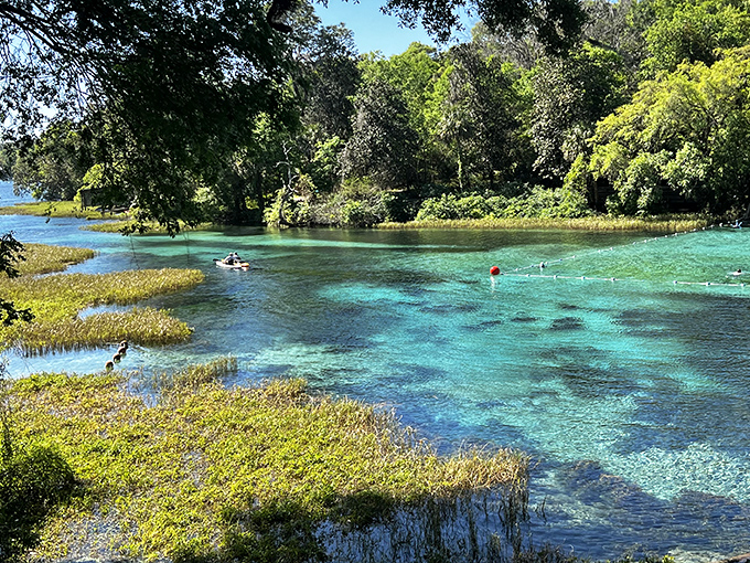 Nature's swimming pool! The spring's remarkable clarity reveals an underwater world that's as mesmerizing as any aquarium display.