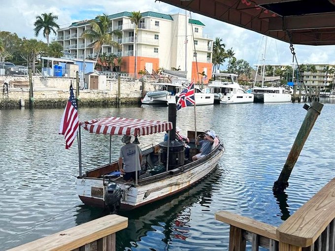 The African Queen glides through Key Largo's waters, her distinctive silhouette instantly recognizable to film buffs and maritime enthusiasts alike.