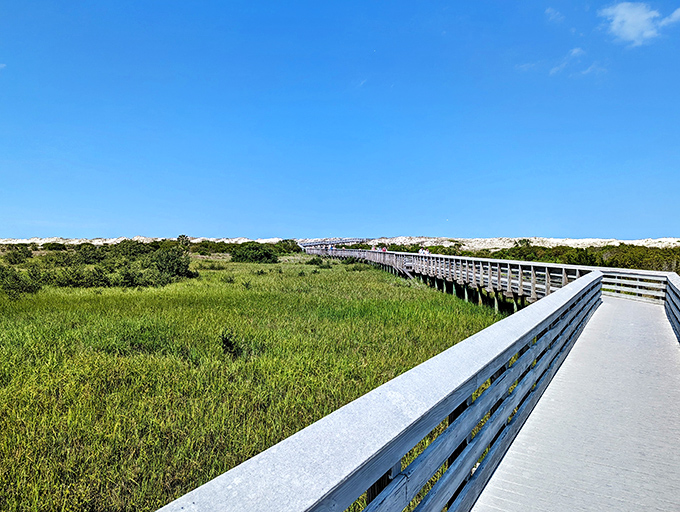 A wooden boardwalk stretches across the coastal marshlands at Anastasia State Park, inviting visitors to explore without disturbing the fragile ecosystem.