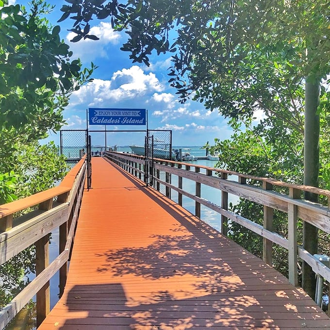 The entrance to Caladesi Island welcomes hikers with a bright orange boardwalk stretching between mangroves toward the Gulf waters beyond.