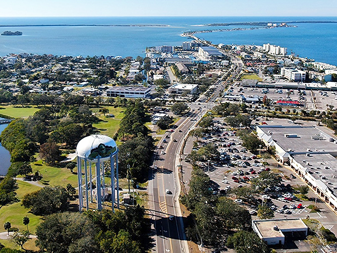Bird's eye beauty! Dunedin's water tower watches over a perfect Florida tableau where blue meets green.
