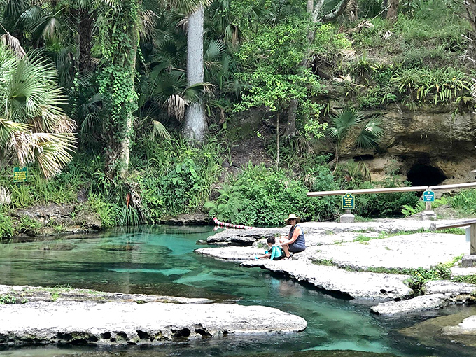 Rock Springs Run creates nature's perfect lazy river, where colorful tubes add pops of human joy to the green wilderness.