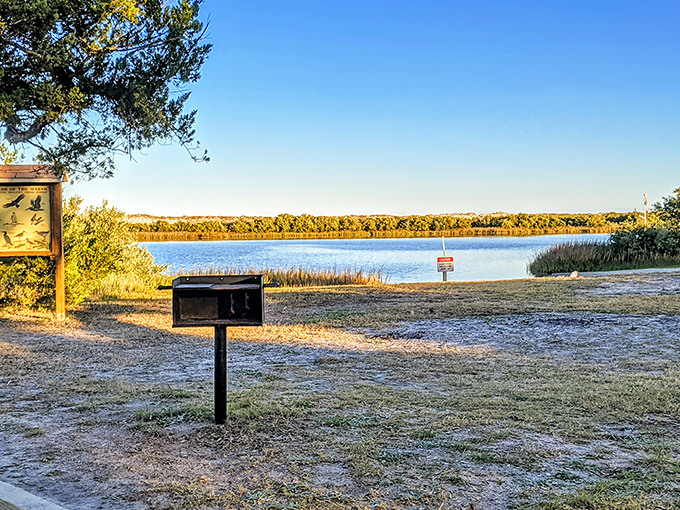The serene waters of Anastasia State Park reflect the blue sky and fluffy clouds, creating a mirror-perfect scene of Florida tranquility.