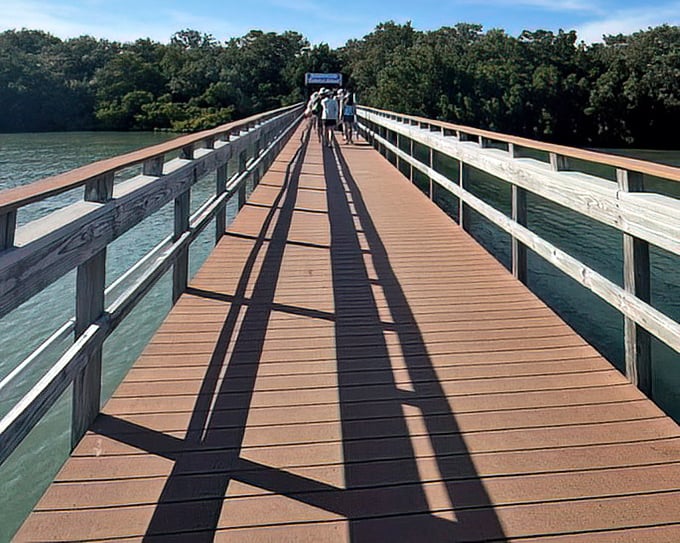 Visitors stroll along the wooden bridge connecting Caladesi Island to the mainland, with crystal clear waters visible on both sides of the path.