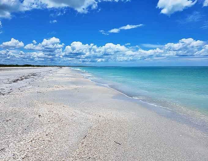 The pristine shoreline of Cayo Costa State Park shows why boat-access-only beaches remain Florida's best-kept secrets.