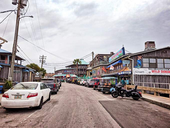 Main Street meets marina! Cedar Key's wooden wonderland feels like a Jimmy Buffett song come to life, where cars and golf carts share equal billing.