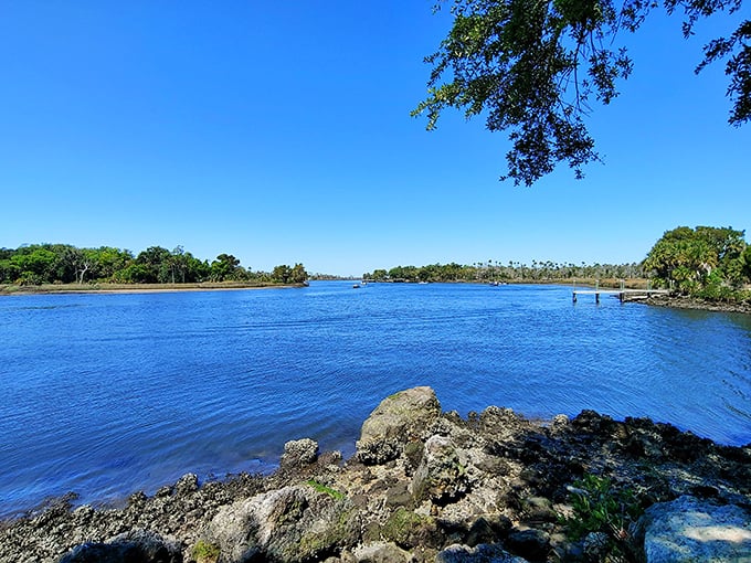 Marshlands stretch toward the horizon at Crystal River Preserve, creating a photographer's paradise of reflections and wildlife habitat.
