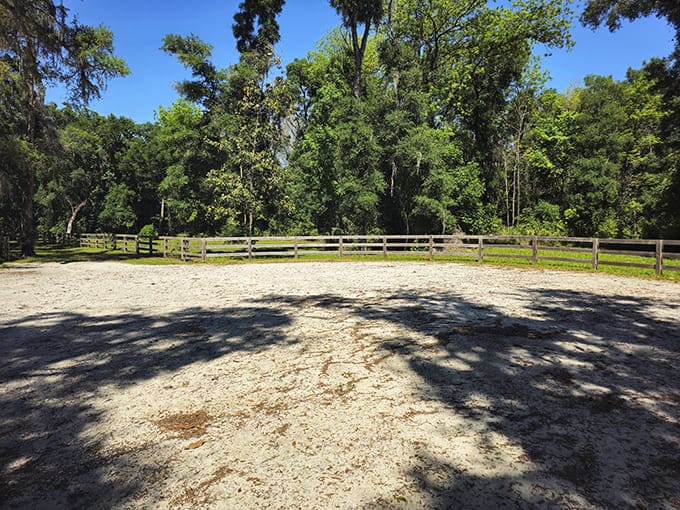 Open spaces in the preserve offer perfect spots for picnics where the only neighbors are birds and butterflies.