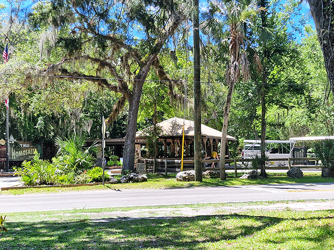 Old Florida charm meets wildlife conservation at this rustic outpost where visitors and nature connect under shady oak canopies.