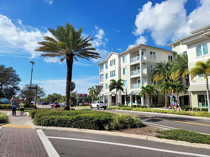 Palm-lined streets and modern buildings create Dunedin's distinctive downtown atmosphere, where Scottish heritage meets Florida sunshine.