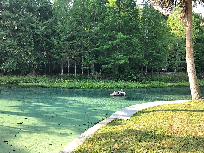 The emerald waters of Rock Springs beckon swimmers with their crystal clarity and promise of cool relief from Florida's heat.