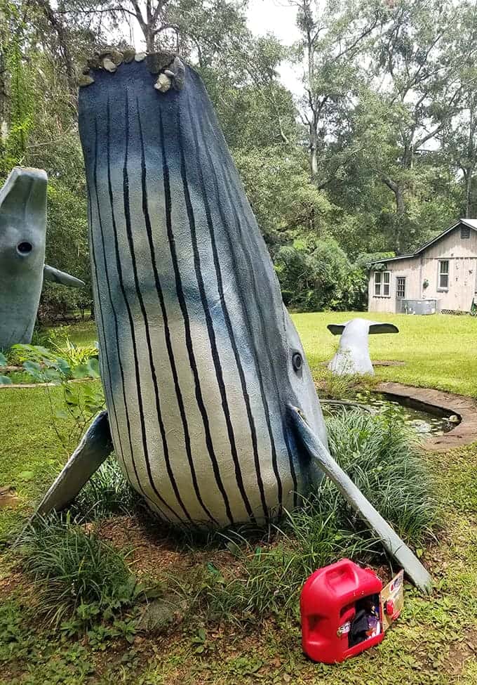 Standing next to this breaching whale makes you feel smaller than a shrimp at a seafood buffet, and that's the point.