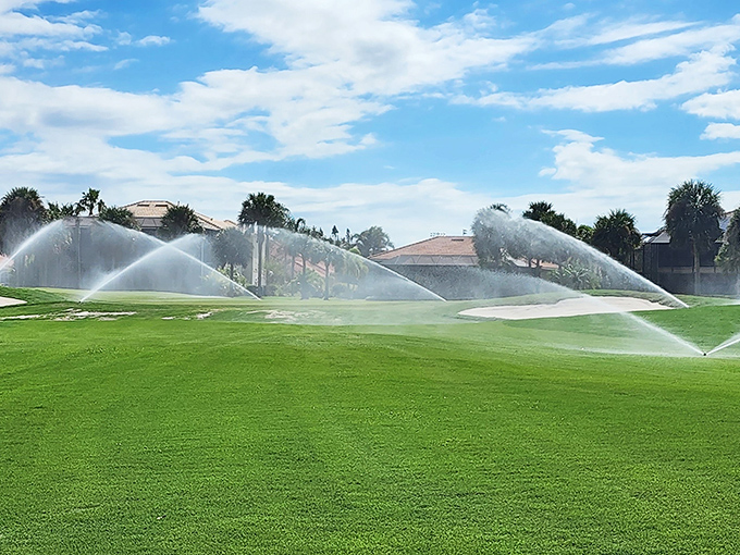 Morning irrigation creates rainbows across the course, nature's way of promising perfect playing conditions for the day ahead.