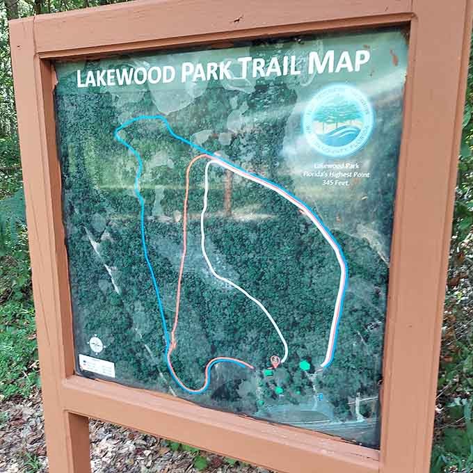 This trail map shows the various paths winding through the park, making it nearly impossible to get lost on your way to conquering Florida's most modest peak.