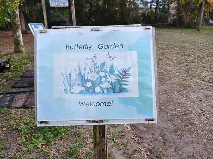 That cheerful butterfly greeting promises the delightful discoveries waiting just beyond this charming garden threshold.
