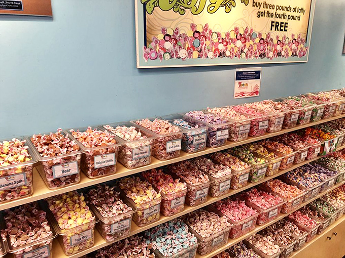 A candy lover's dream landscape – rows upon rows of taffy varieties create a colorful tapestry that's as pleasing to the eyes as to the taste buds.