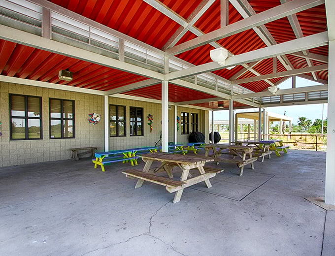 The red-roofed pavilion isn't just eye-catching, it's where budding marine biologists gather between adventures for shade and enlightenment.
