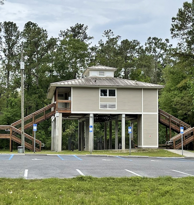 The elevated bathhouse stands like a modern treehouse, proving that even changing rooms can have million-dollar views in this park.