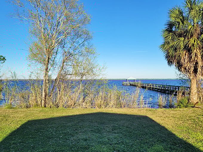 Fletcher Park's waterfront view offers the kind of serenity that makes you forget what day of the week it is.