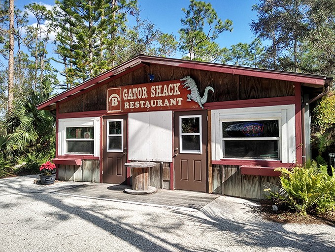The Gator Shack Restaurant proves wilderness adventures can end with comfort food that doesn't taste like it was cooked over a campfire emergency.