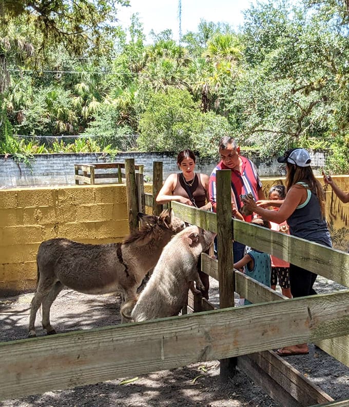 Nothing brings families together quite like feeding animals that could easily ruin your whole day if they felt like it.