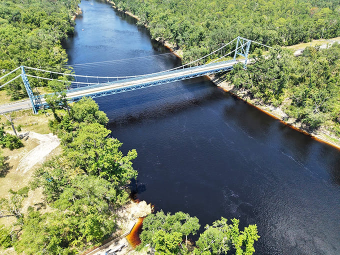 From above, the bridge looks like someone drew a perfect line across the wilderness with a bright blue marker and somehow made it three-dimensional.