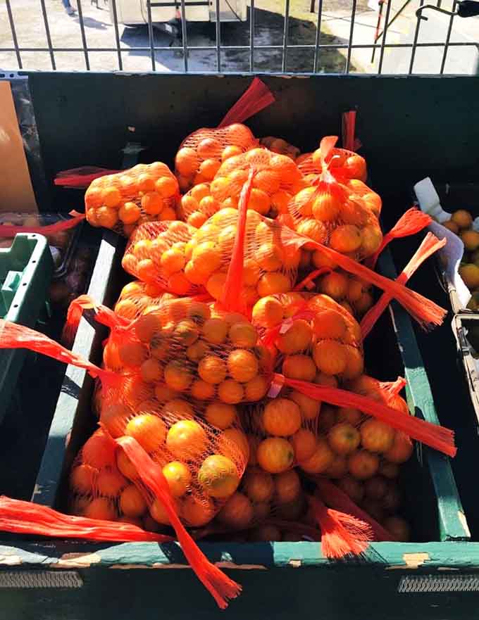 Fresh-picked kumquats ready for their close-up, packed and prepped to bring their sweet-and-sour magic to markets far beyond the grove.