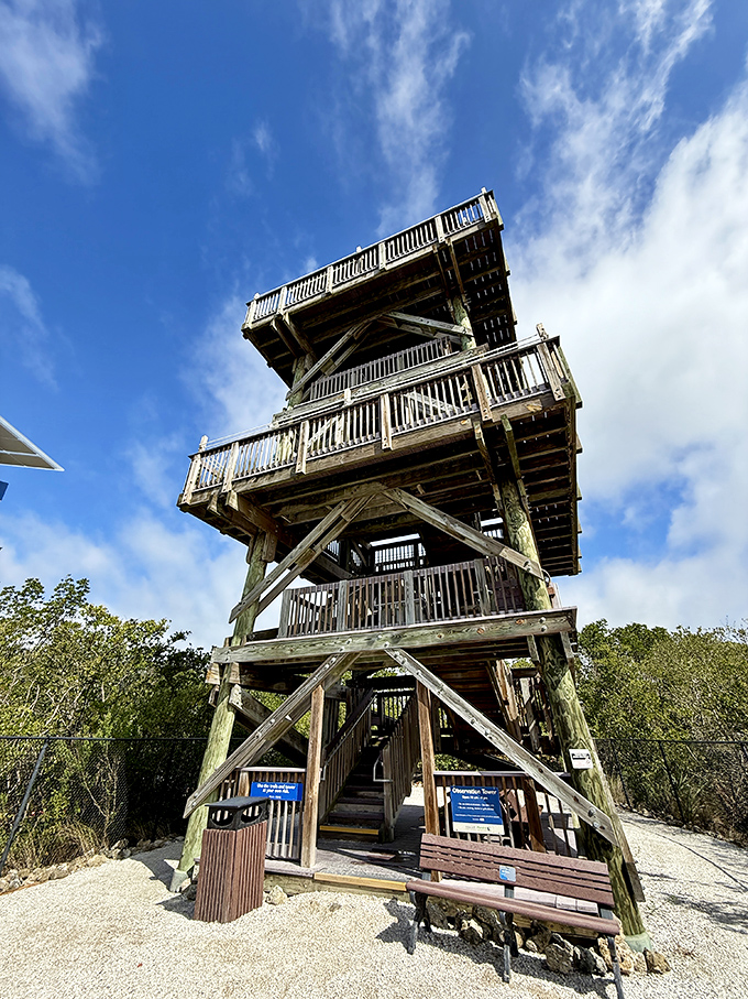 The observation tower stands sentinel over the sanctuary, offering panoramic views that transform casual visitors into temporary wildlife biologists.