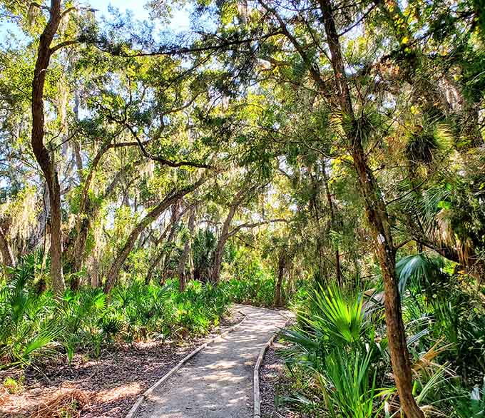 These winding boardwalks lead you deeper into Florida's wild heart, where the only traffic is the occasional turtle crossing.