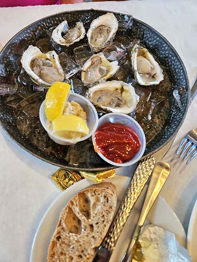 Fresh Apalachicola oysters on the half shell, because some things are perfect exactly as nature intended them.