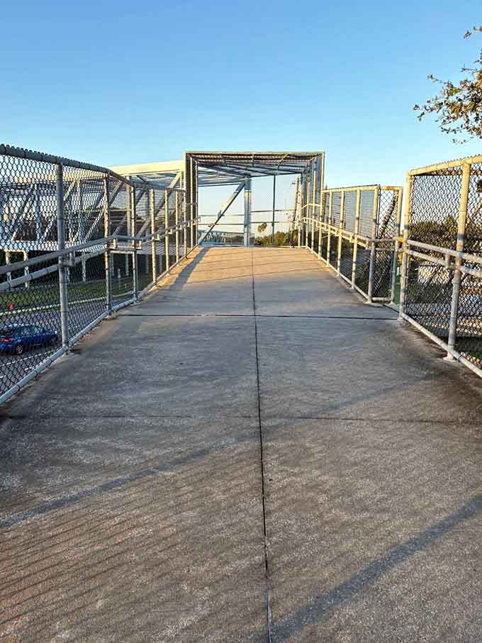 This pedestrian bridge soars above busy roads like a cyclist's dream come true, eliminating traffic lights and proving that good infrastructure is basically love made visible.