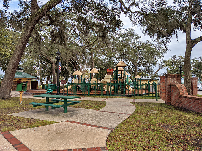 Childhood joy comes standard at this playground, where laughter echoes under the watchful gaze of Spanish moss-draped oaks.