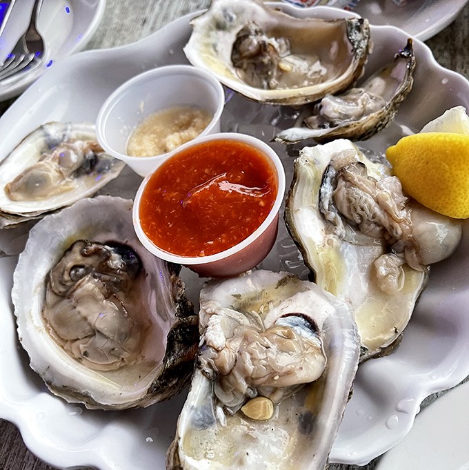 Plump, briny oysters glisten on the half shell, ready for a squeeze of lemon and moment of appreciation.