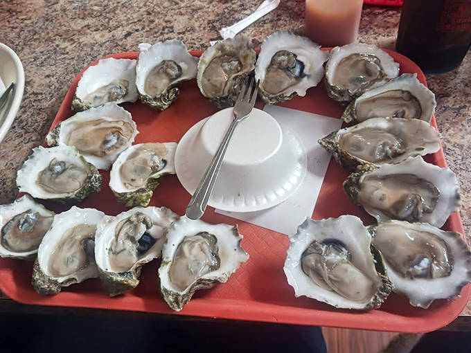 A perfect circle of raw oysters, plump and glistening, awaiting nothing more than a squeeze of lemon and a moment of appreciation. Ocean perfection on a humble tray.