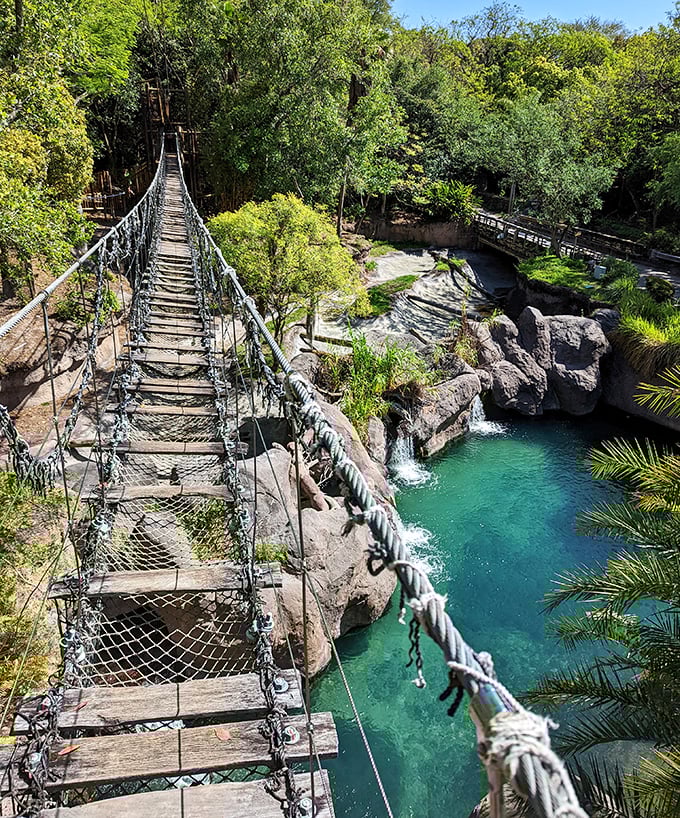 Not for the faint-hearted! This swaying rope bridge offers thrilling views of rushing waters below – adventure with a side of adrenaline.
