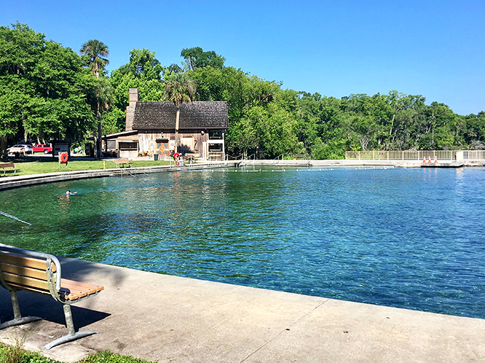 The spring's crystal-clear waters invite swimmers year-round. You can literally see your shadow on the sandy bottom &ndash; nature's version of HD clarity!