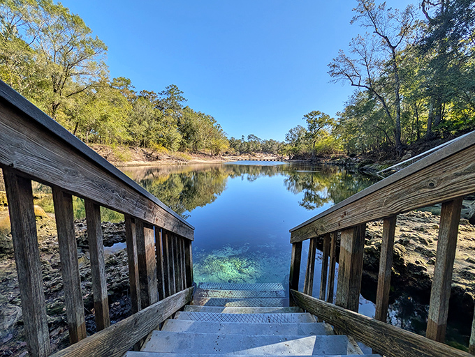 These steps don't just lead to water; they're a stairway to an underwater heaven that Jacques Cousteau would have swooned over.