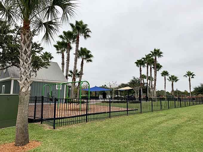 Fenced play areas provide peace of mind for parents, creating safe zones where kids can explore without wandering into traffic.