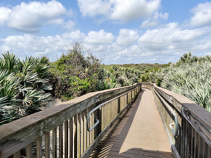 This boardwalk protects thousand-year-old secrets beneath your feet while giving you the best seats in the house for time travel.