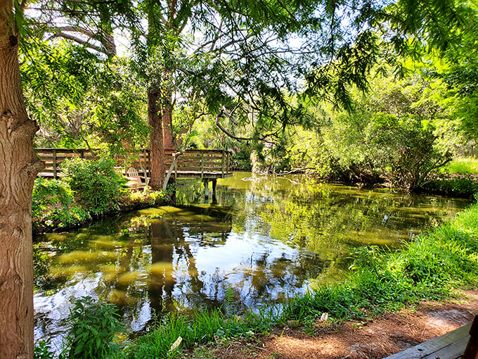 The Narrows' tranquil waters reflect towering trees and blue skies, creating mirror images that double the visual feast.